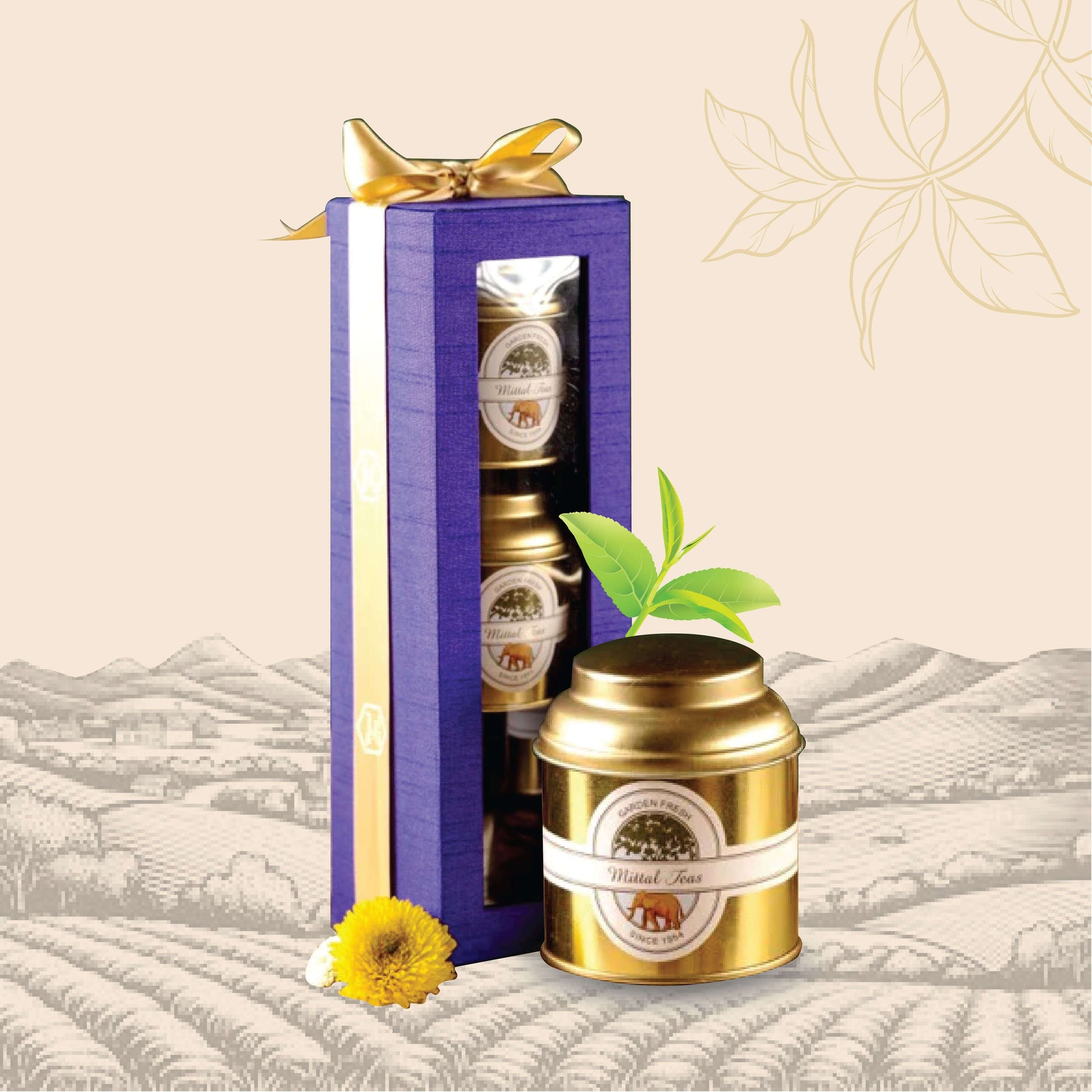 Mittal Teas Premium Indian Tea, Luxurious Green Tea Gift Box with 4 Va